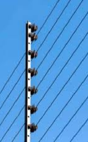 Excellerate Services | Top CCTV Monitoring Company | Security Tech ...