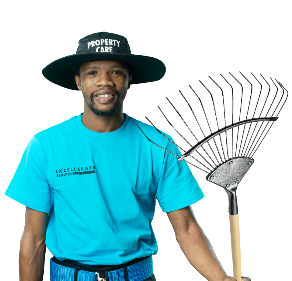 Excellerate Services | Grounds maintenance